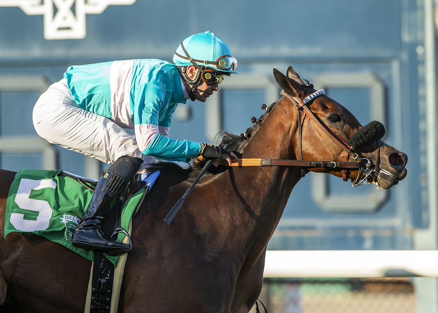 Dolce Zel is Best Saturday in Kathryn Crosby Stakes at Del Mar